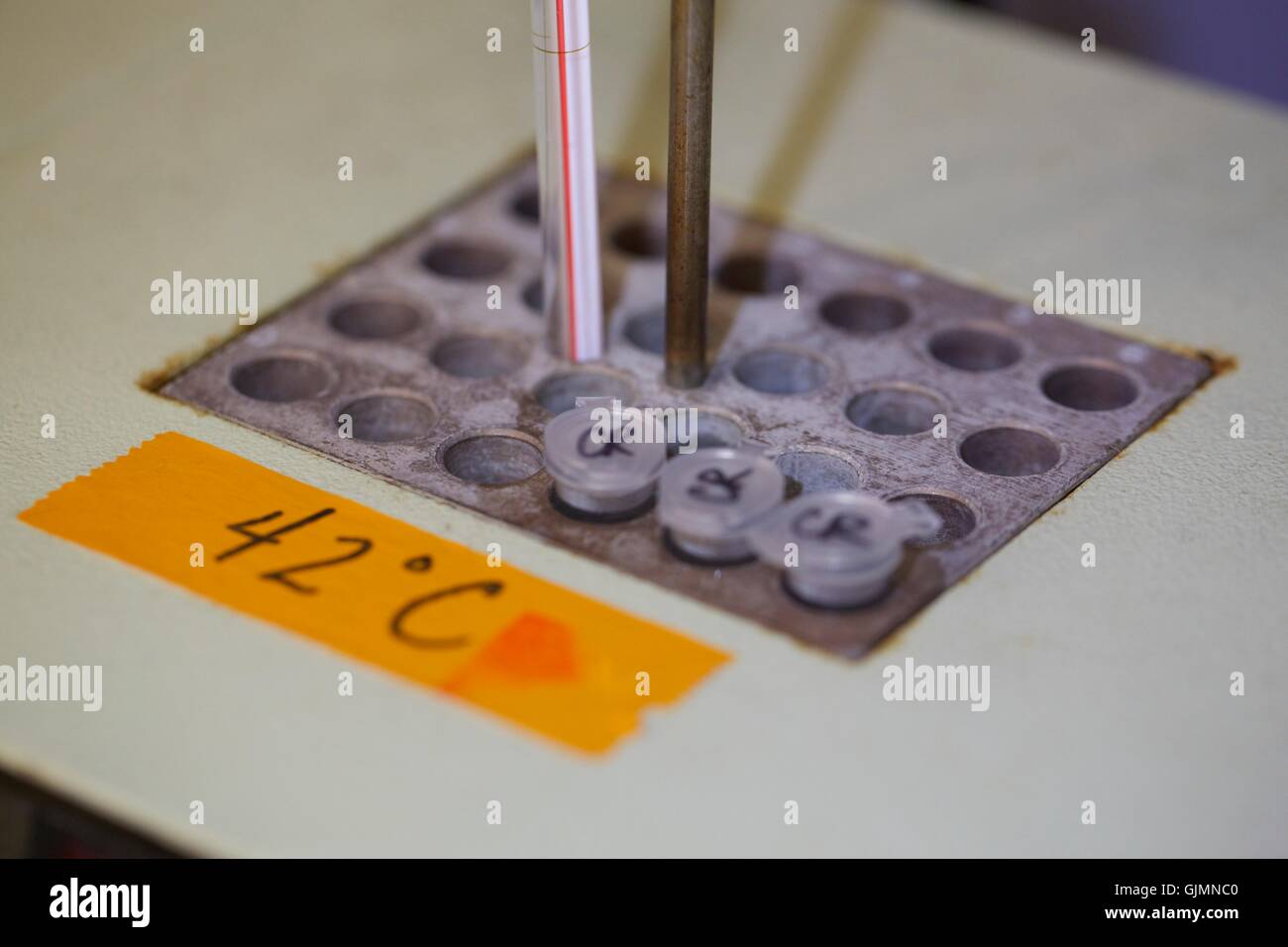 Microfuge tubes in dry heating block Stock Photo - Alamy