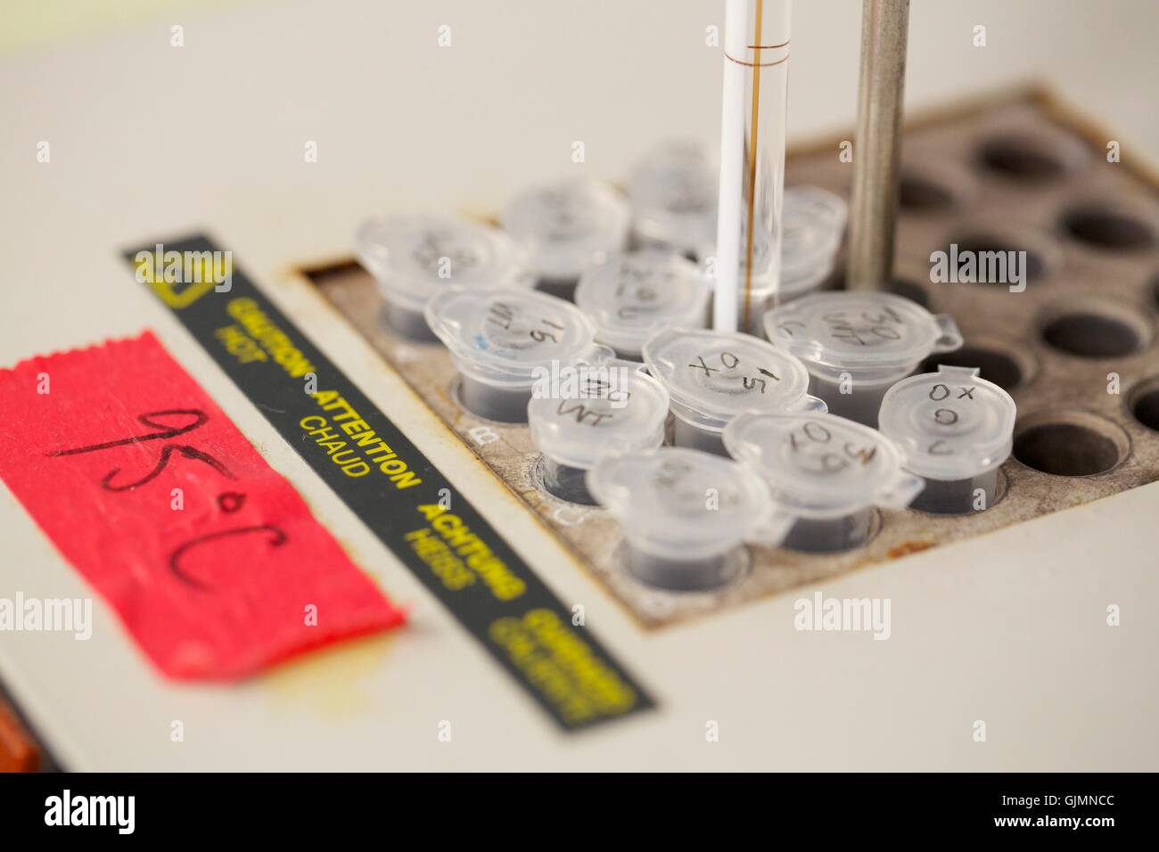 Microfuge tubes in dry heating block Stock Photo - Alamy