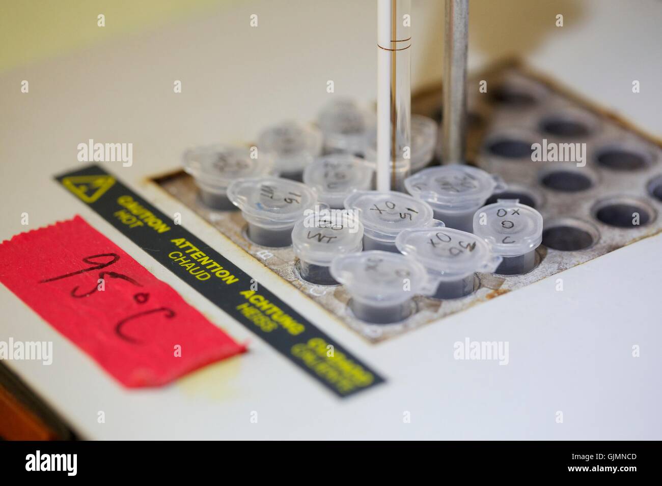 Microfuge tubes in dry heating block Stock Photo - Alamy