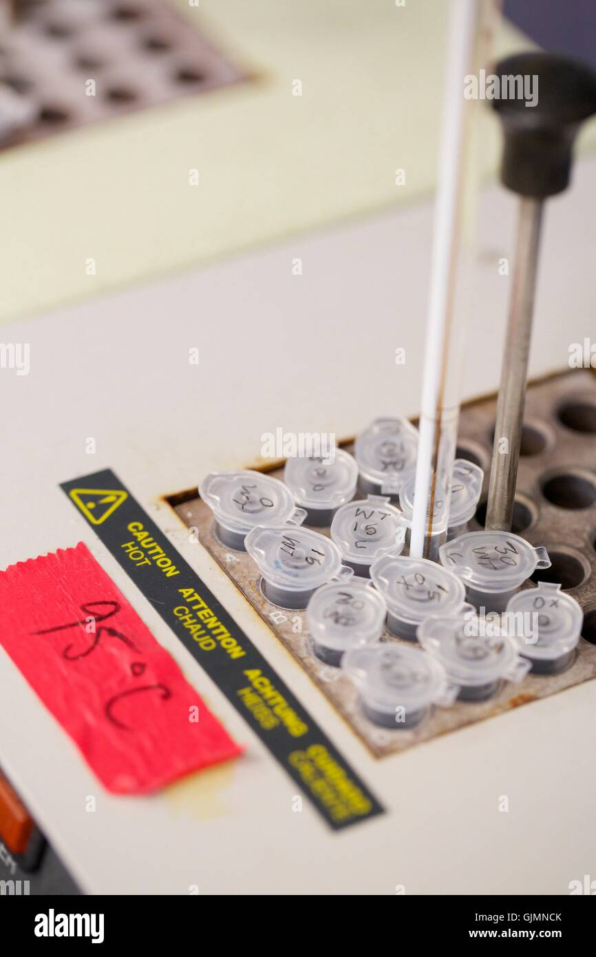 Microfuge tubes in dry heating block Stock Photo - Alamy