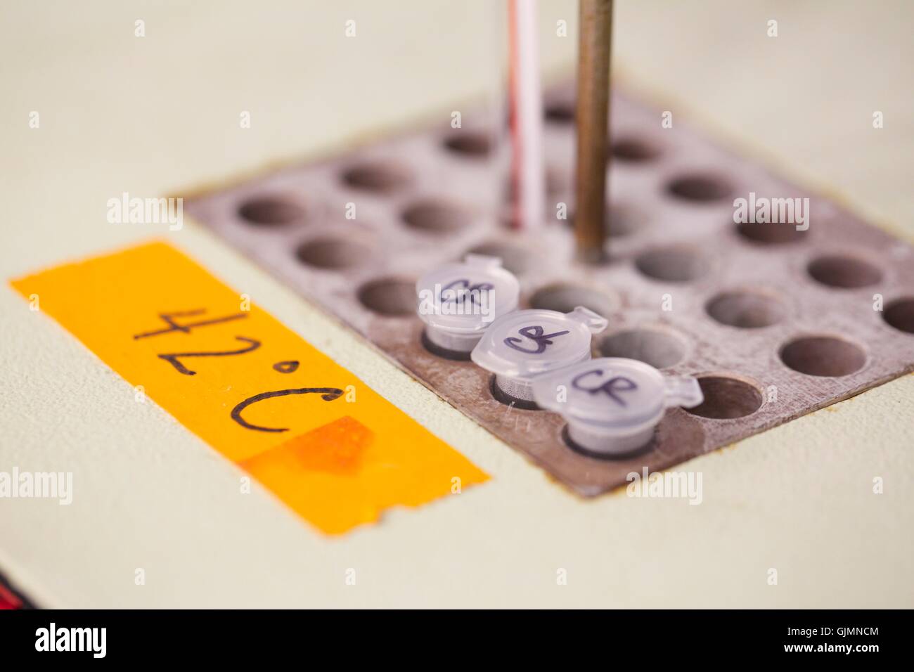 Microfuge tubes in dry heating block Stock Photo - Alamy