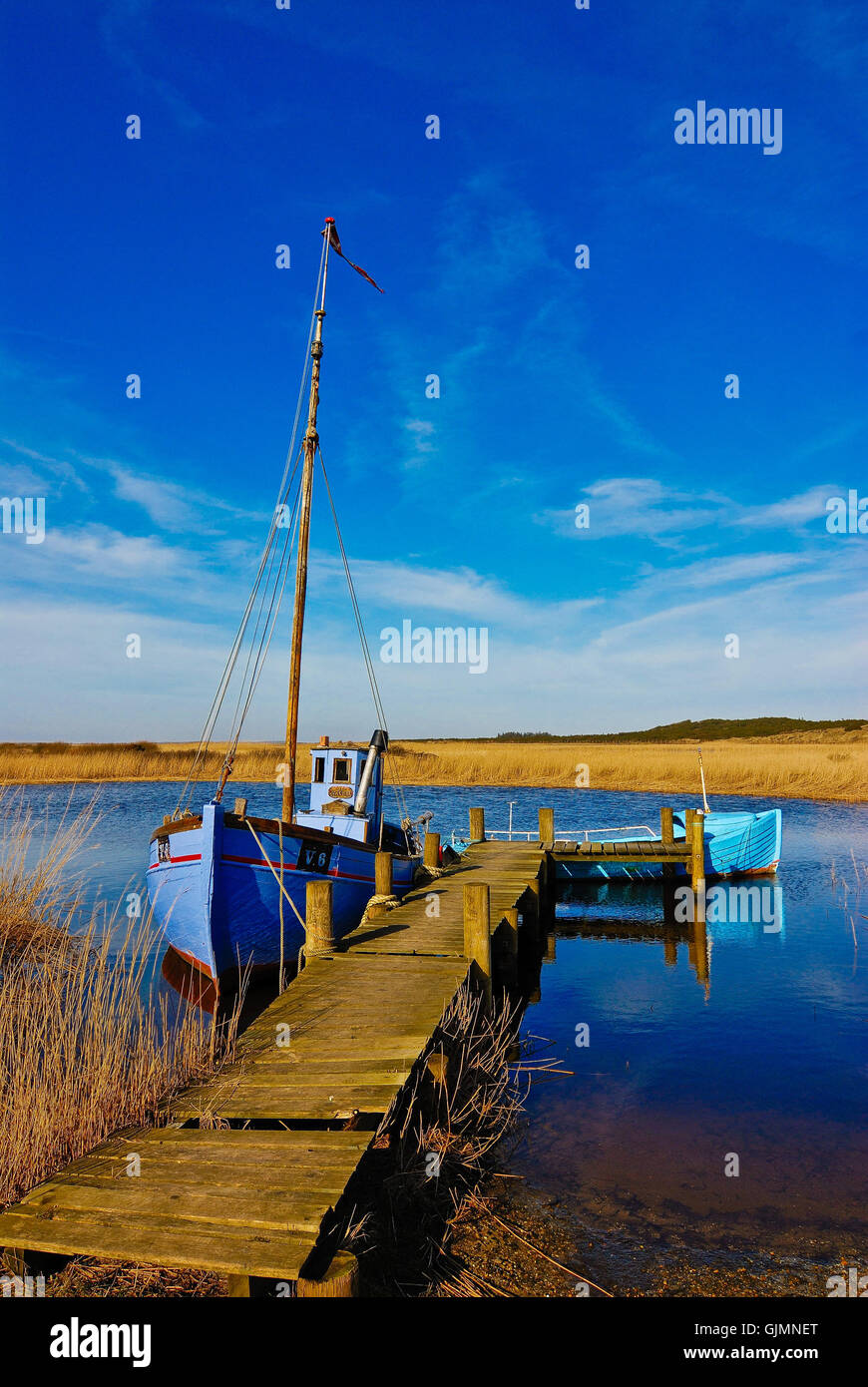 Fish with salt hi-res stock photography and images - Alamy