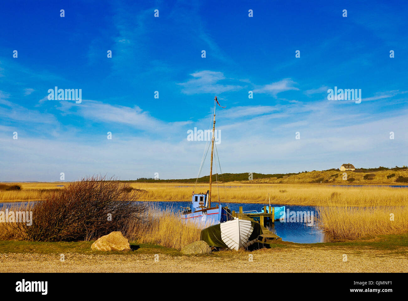 Salt water fish hi-res stock photography and images - Alamy