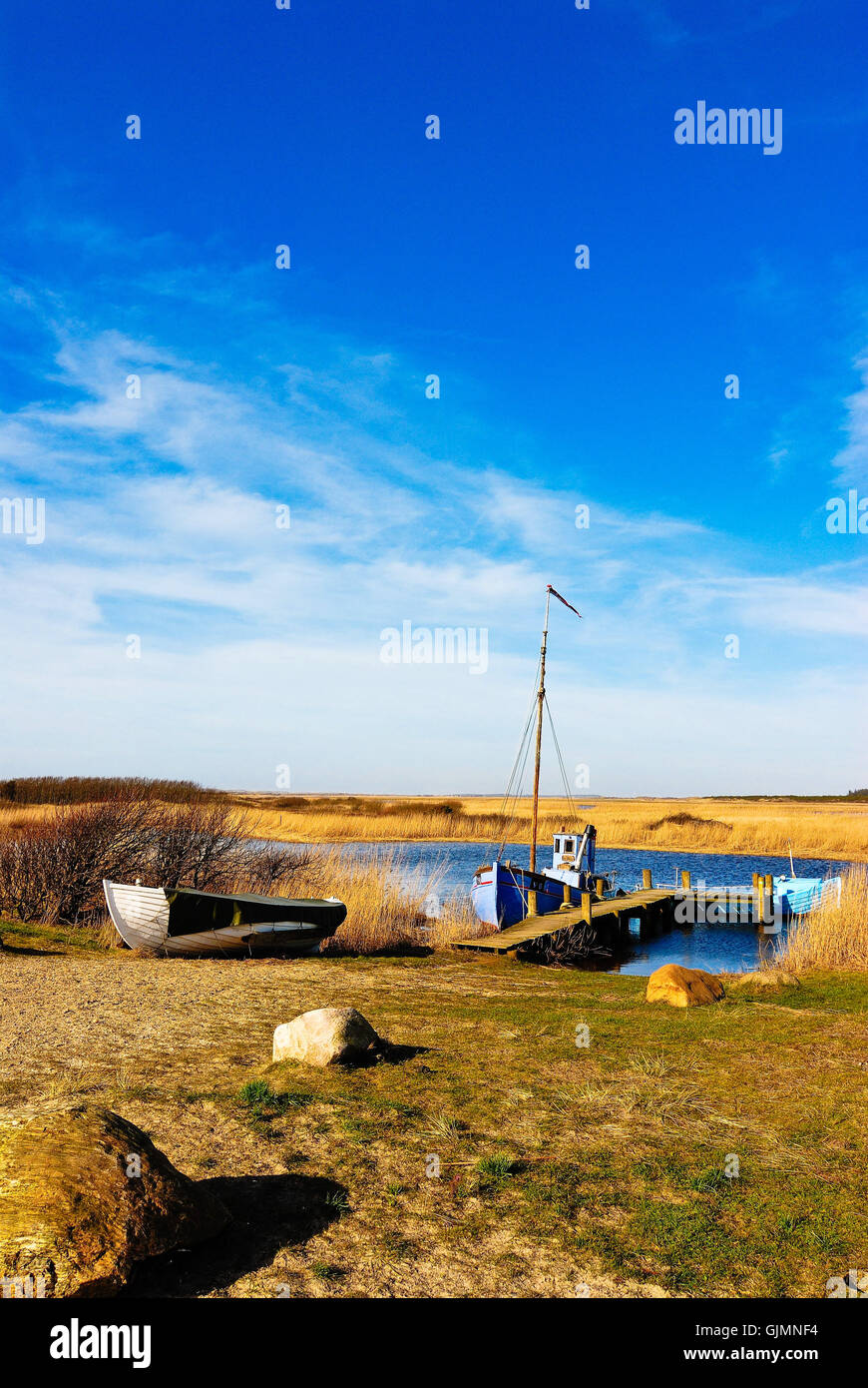 fish denmark salt water Stock Photo - Alamy