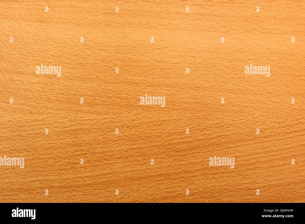 wood vein beech Stock Photo - Alamy