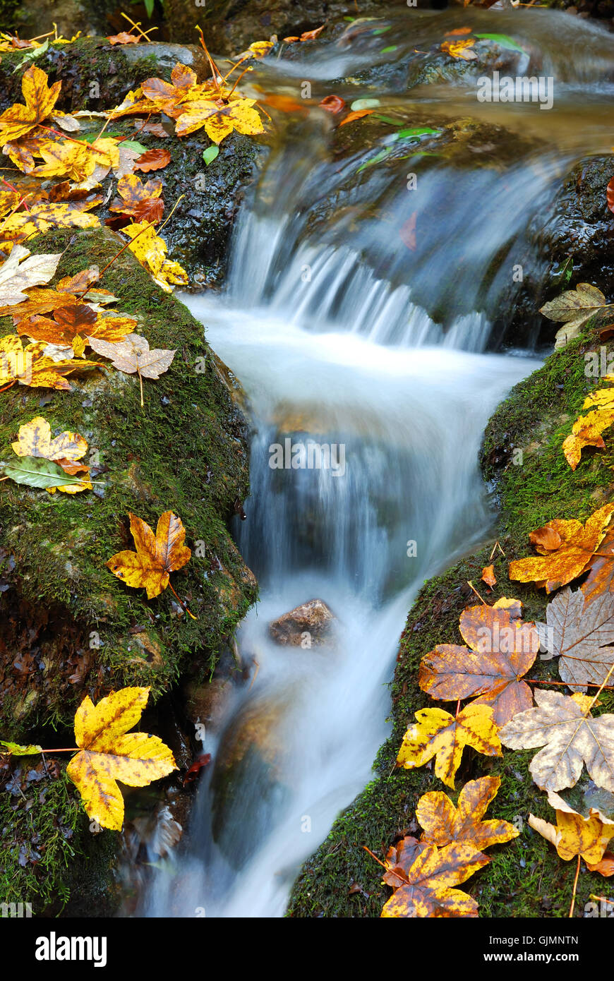 Fall yellow moving water river hi-res stock photography and images - Alamy