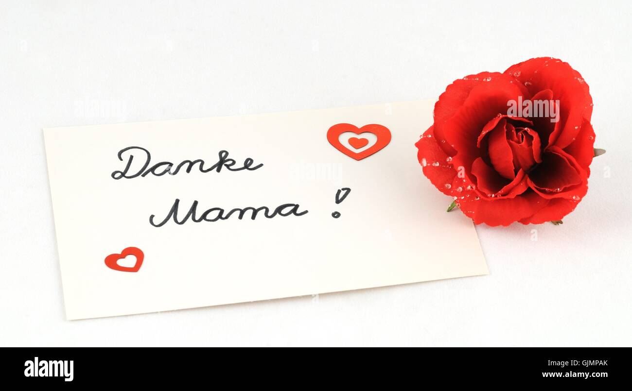 emotions flower rose Stock Photo - Alamy