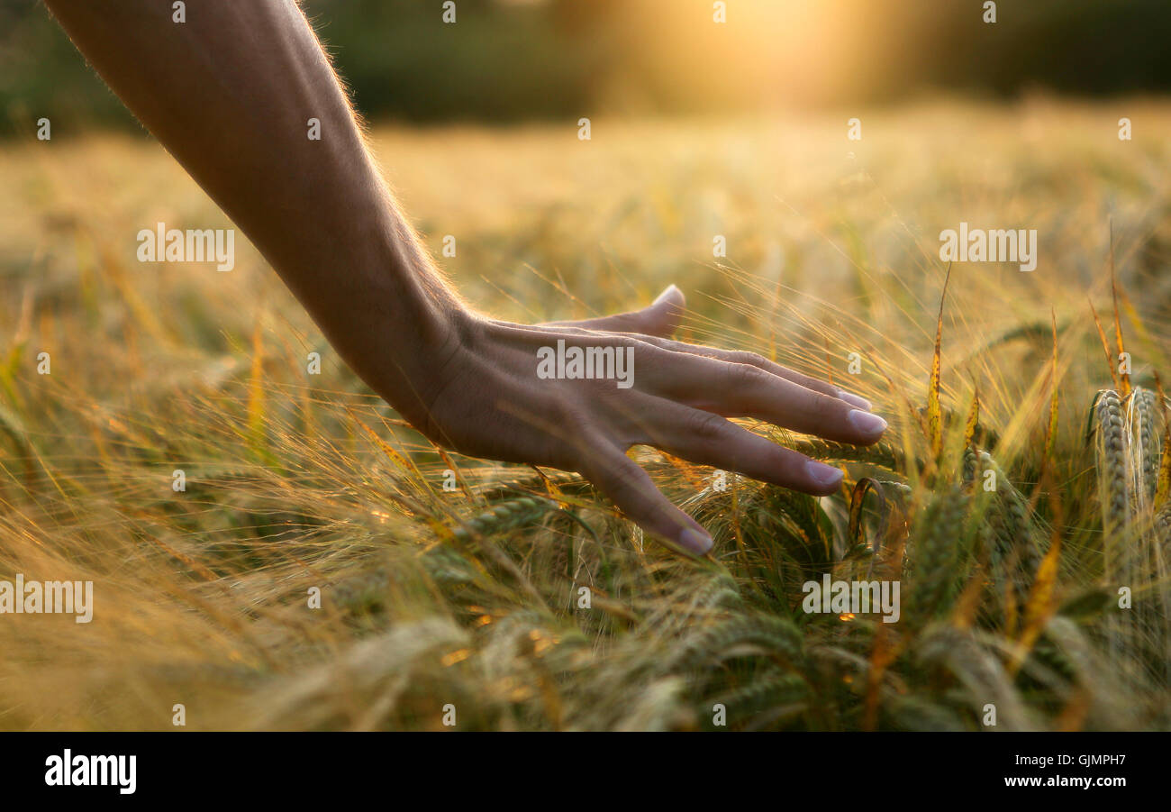 Hand footprints hi-res stock photography and images - Alamy