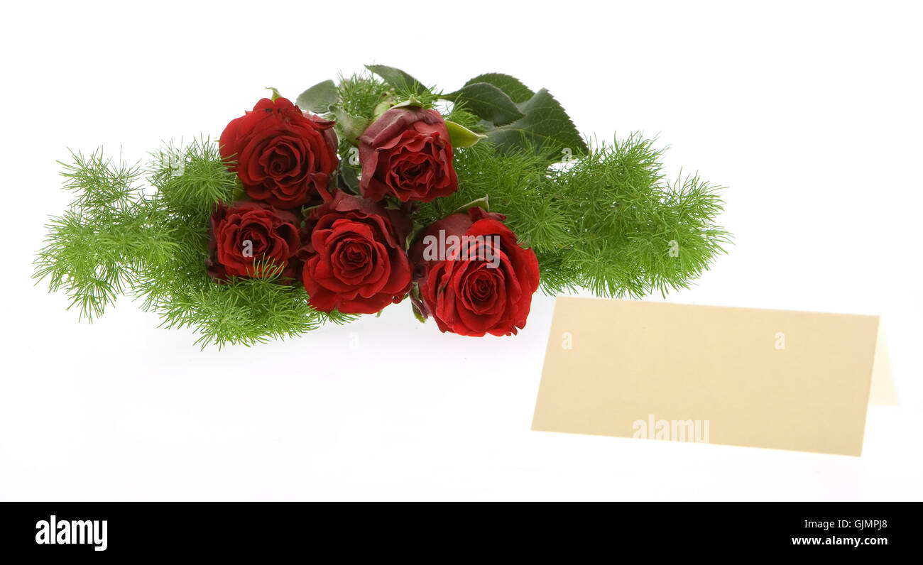 Signal rose hi-res stock photography and images - Alamy