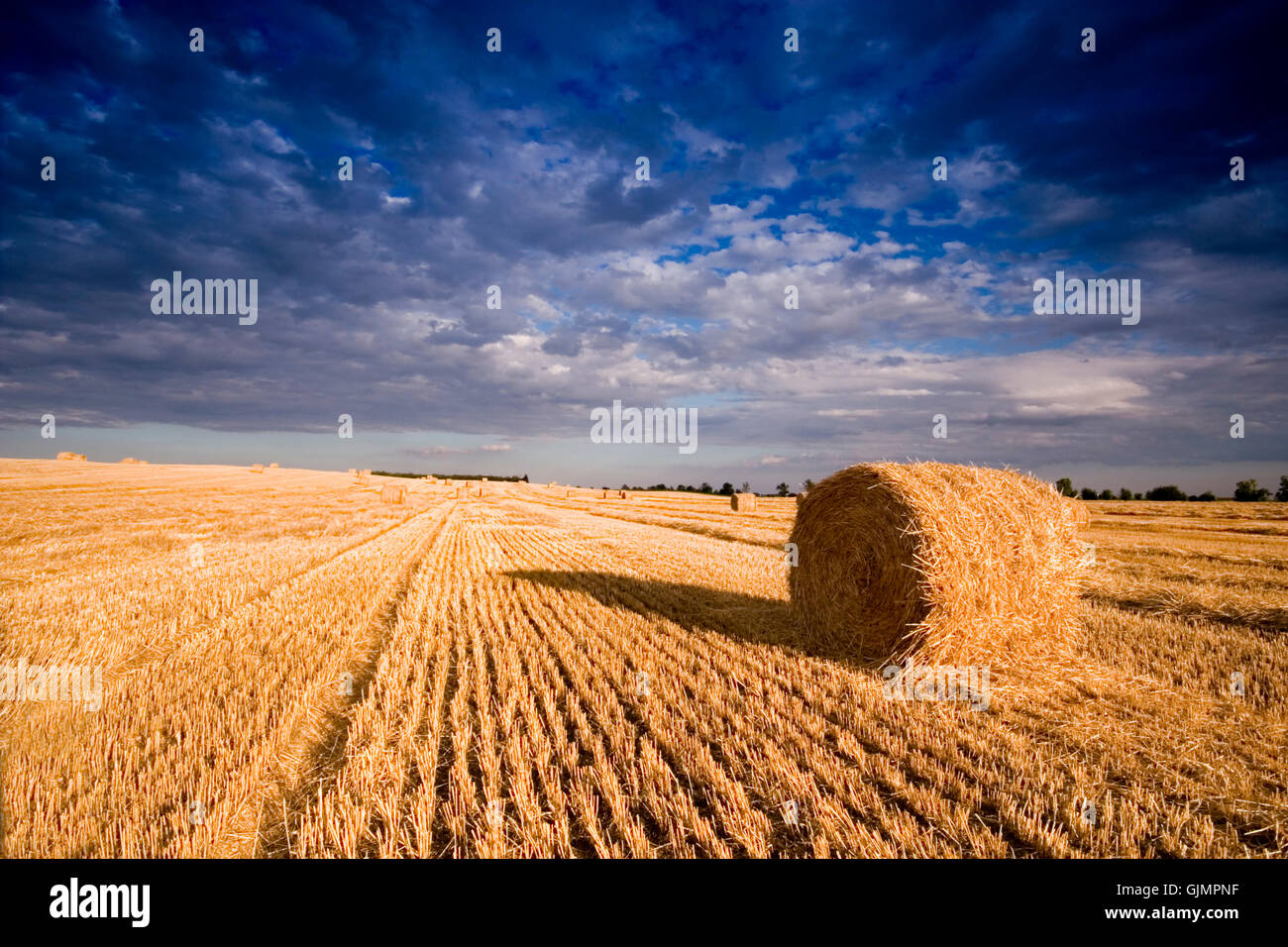 agriculture farming field Stock Photo - Alamy