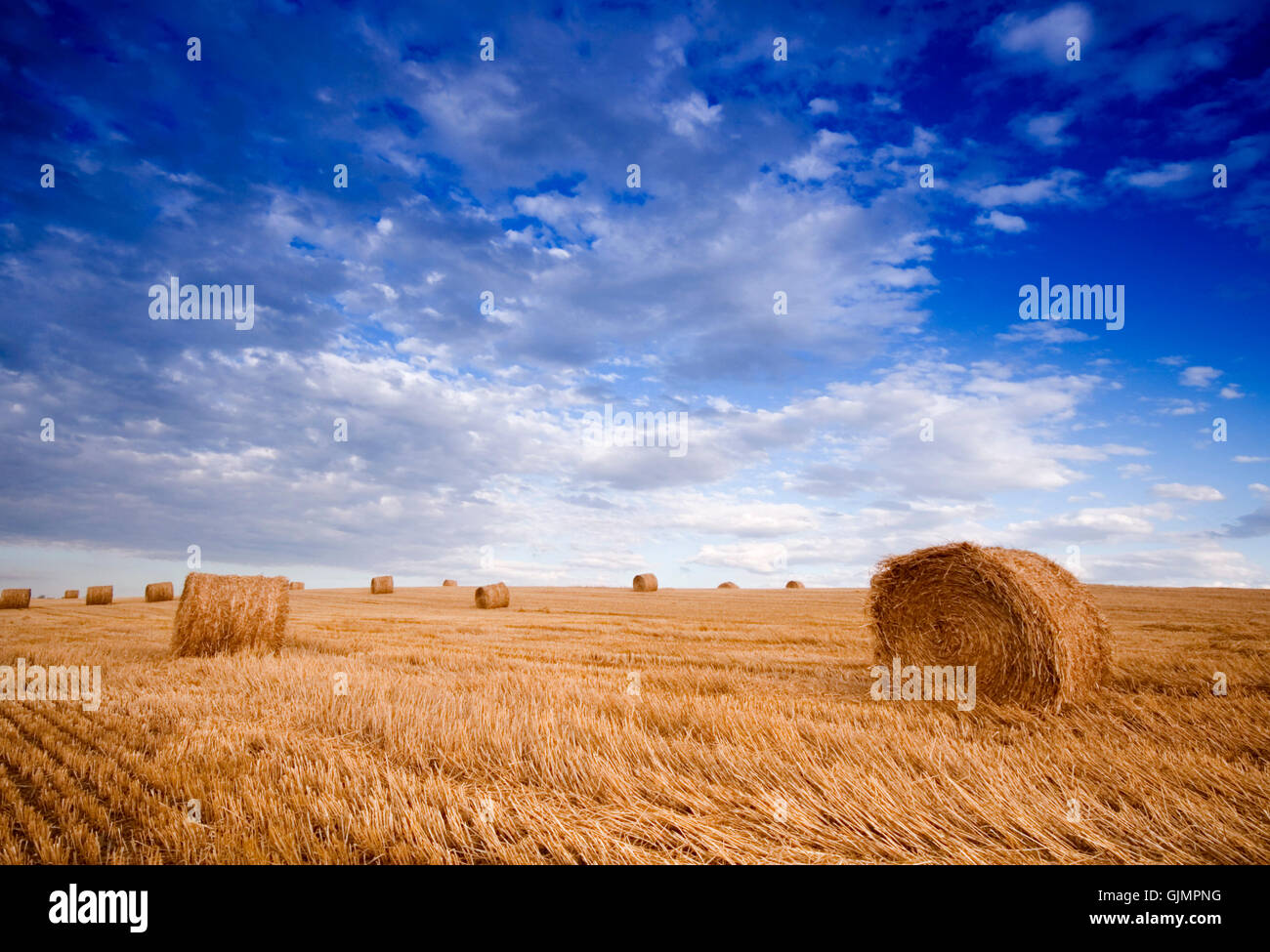 agriculture farming field Stock Photo - Alamy