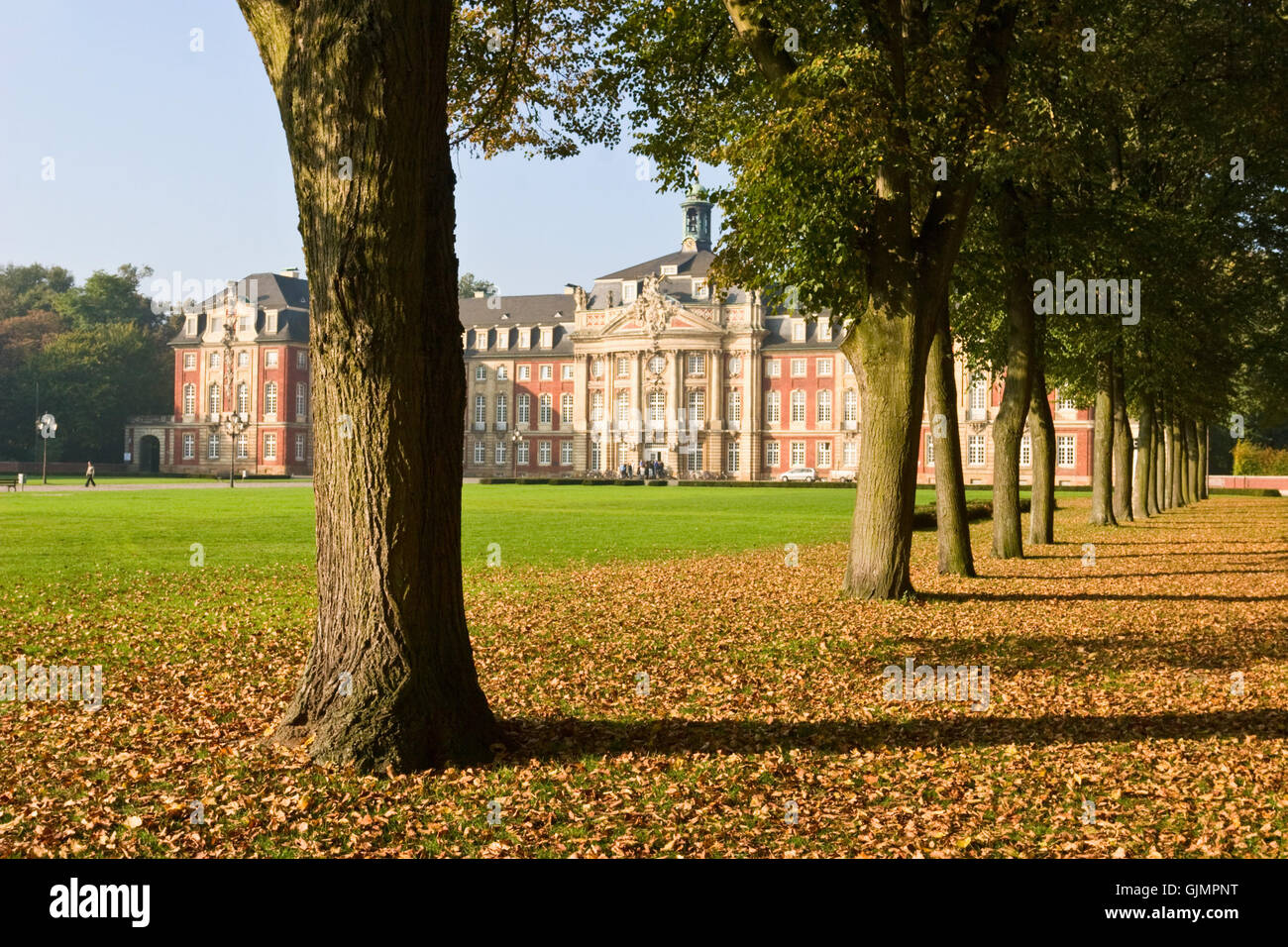 tree germany german federal republic Stock Photo - Alamy
