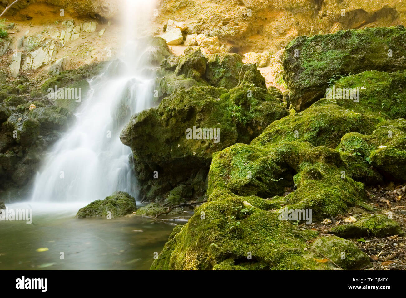 Summer summerly sunlight spring hi-res stock photography and images - Alamy