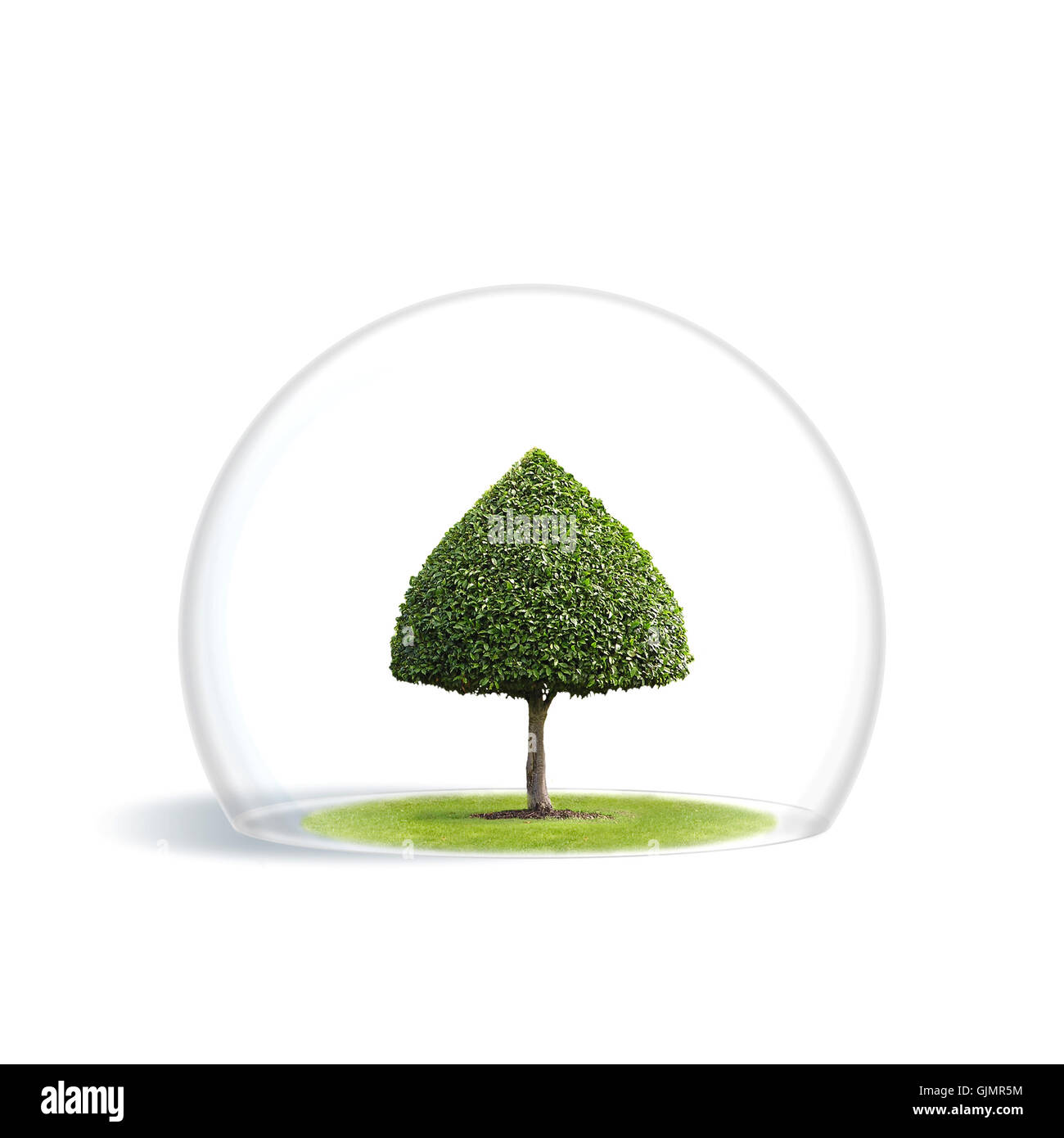 World nature protection Cut Out Stock Images & Pictures - Alamy