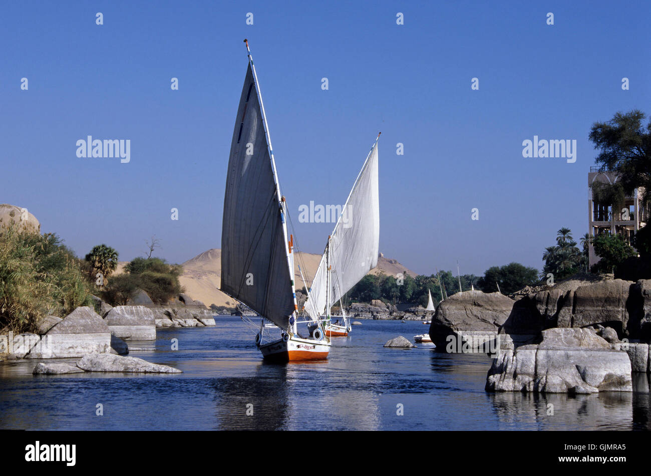 Feluccas egypt hi-res stock photography and images - Alamy