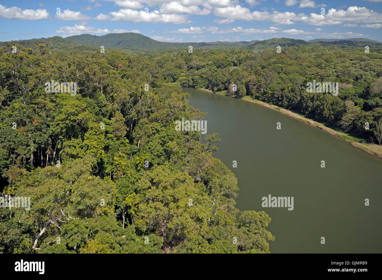 Rainforest clearing hi-res stock photography and images - Alamy