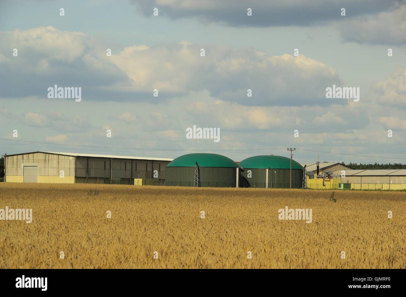 eco plant gas Stock Photo - Alamy