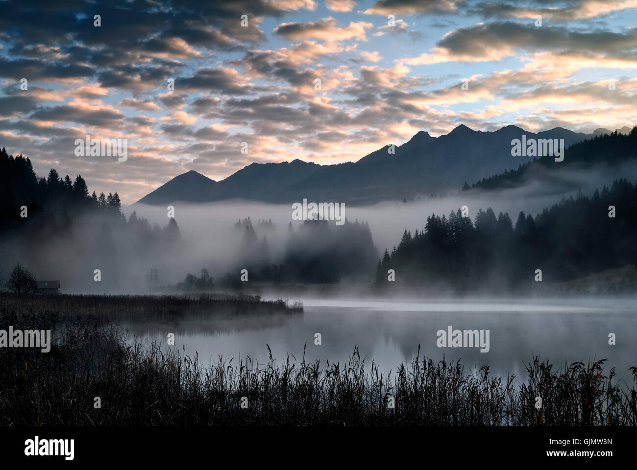 Fog mood hi-res stock photography and images - Alamy