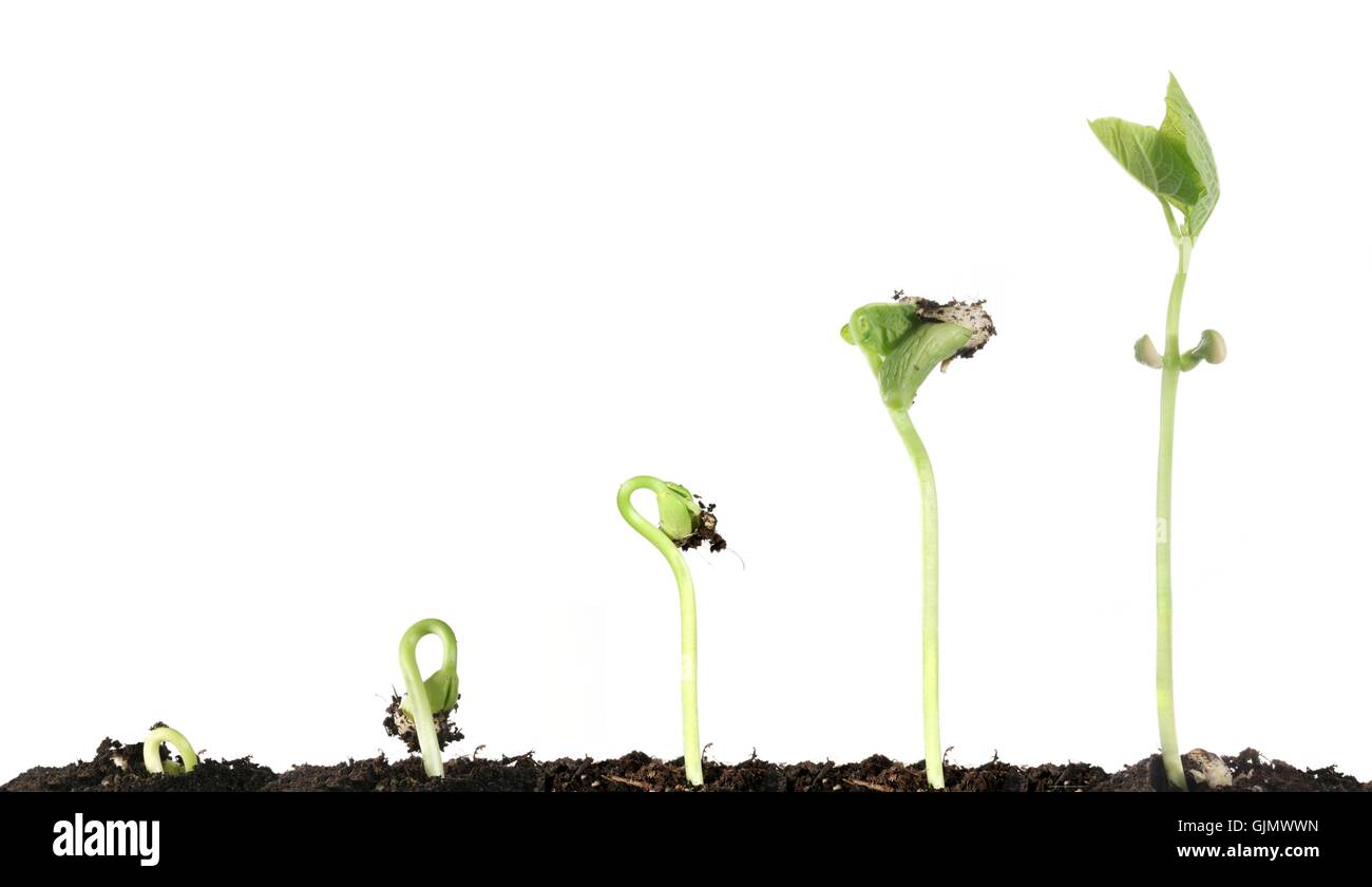 Development progress symbol hi-res stock photography and images - Alamy