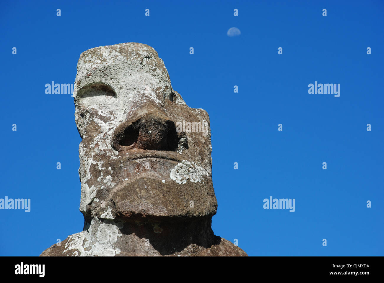 Huri hi-res stock photography and images - Alamy