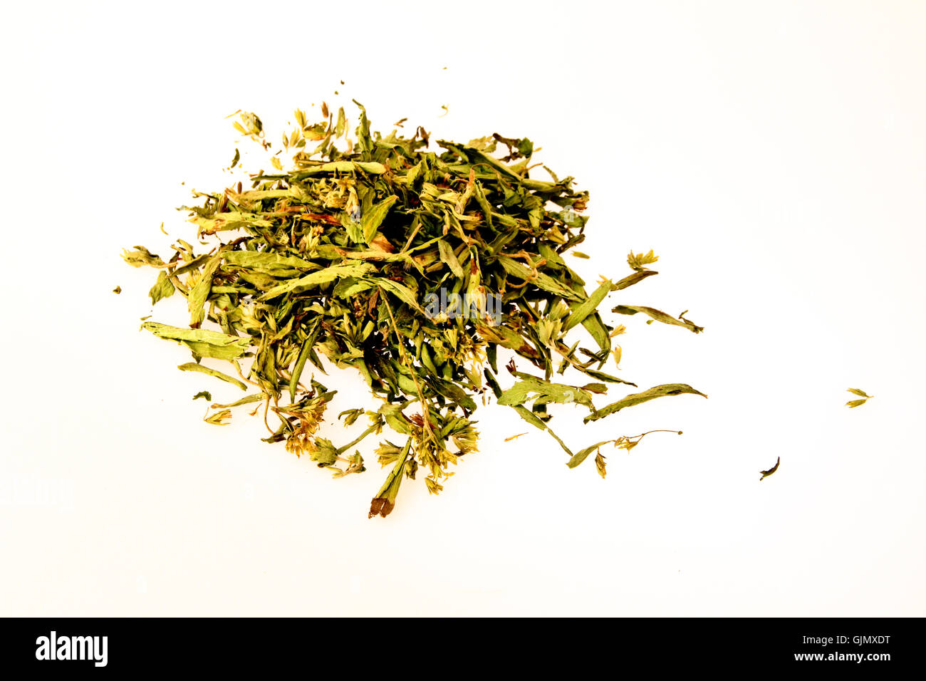 Stevia plant hi-res stock photography and images - Alamy