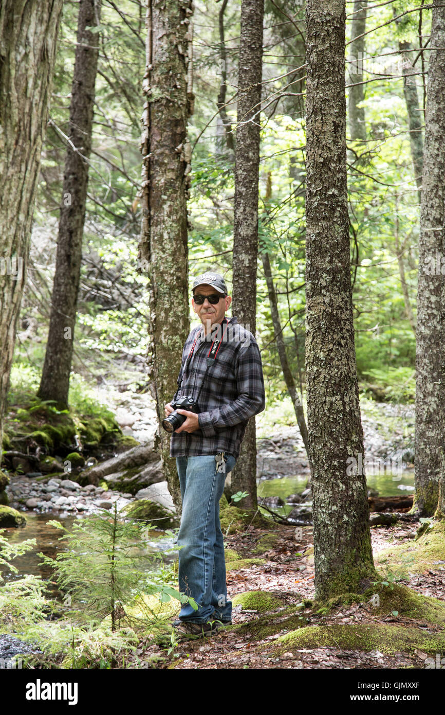 Hiker on the Hunter's Mill Trail in Acadia National Park, Maine Stock ...