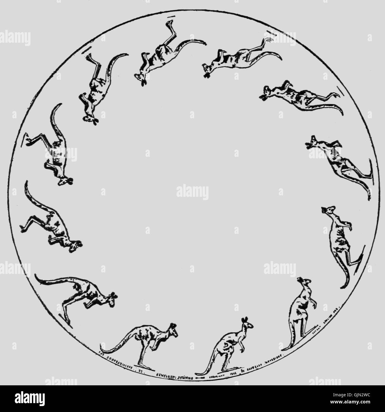 This illustration or study from the field of zoopraxography depicts a ...