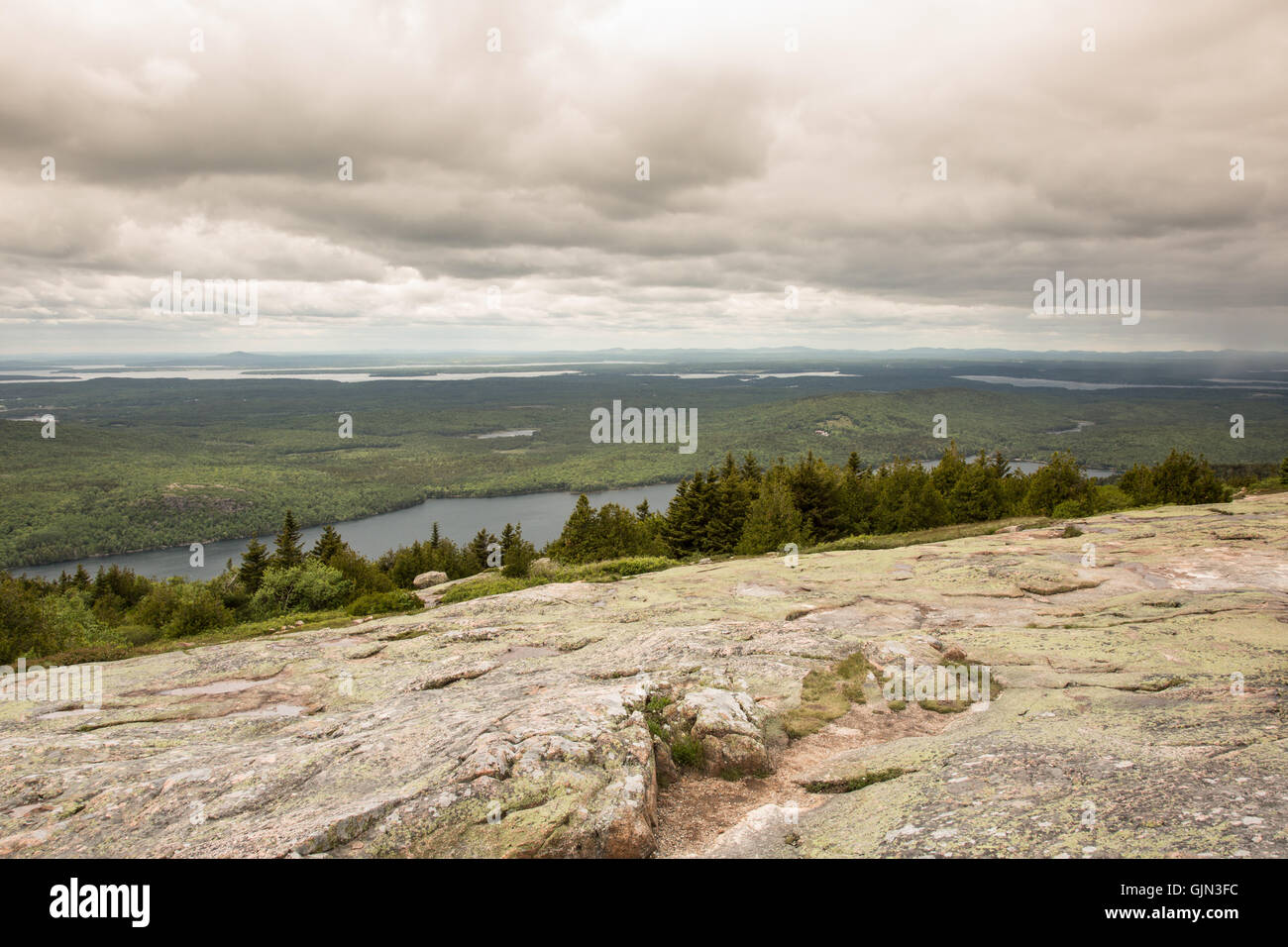 Rocky and evergreen view in Acadia National Park Stock Photo - Alamy