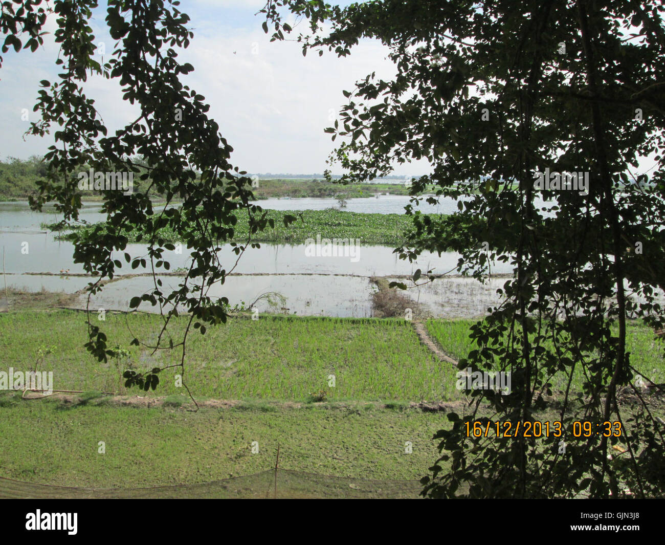 This image refers to the rice fields surrounding the Cheoung Ek complex ...
