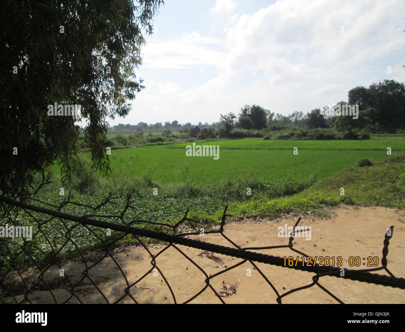 'Rice paddy Fields' surrounding the 'Killing Fields Stock Photo - Alamy