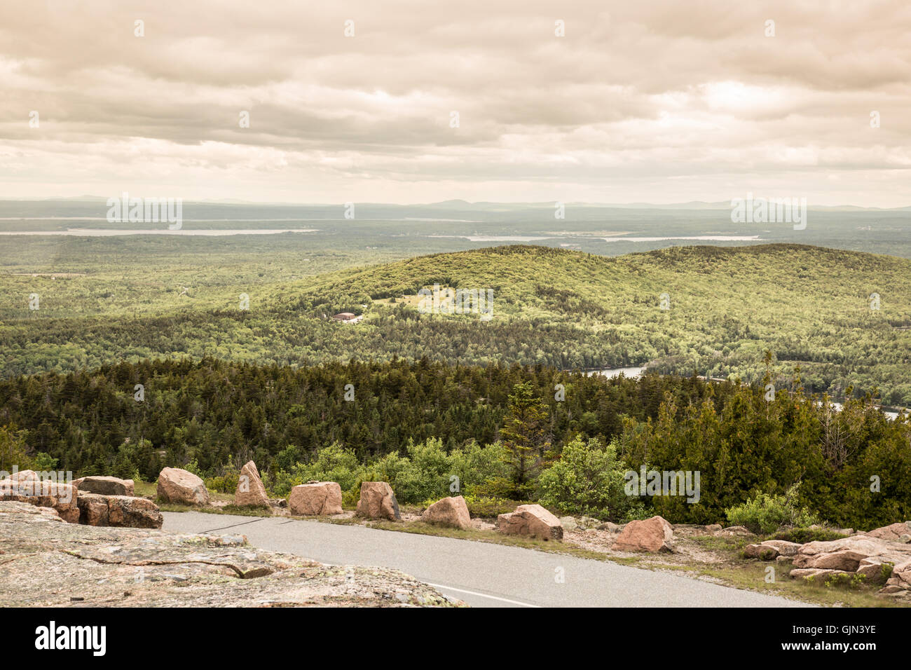 Rocky and evergreen view in Acadia National Park Stock Photo - Alamy