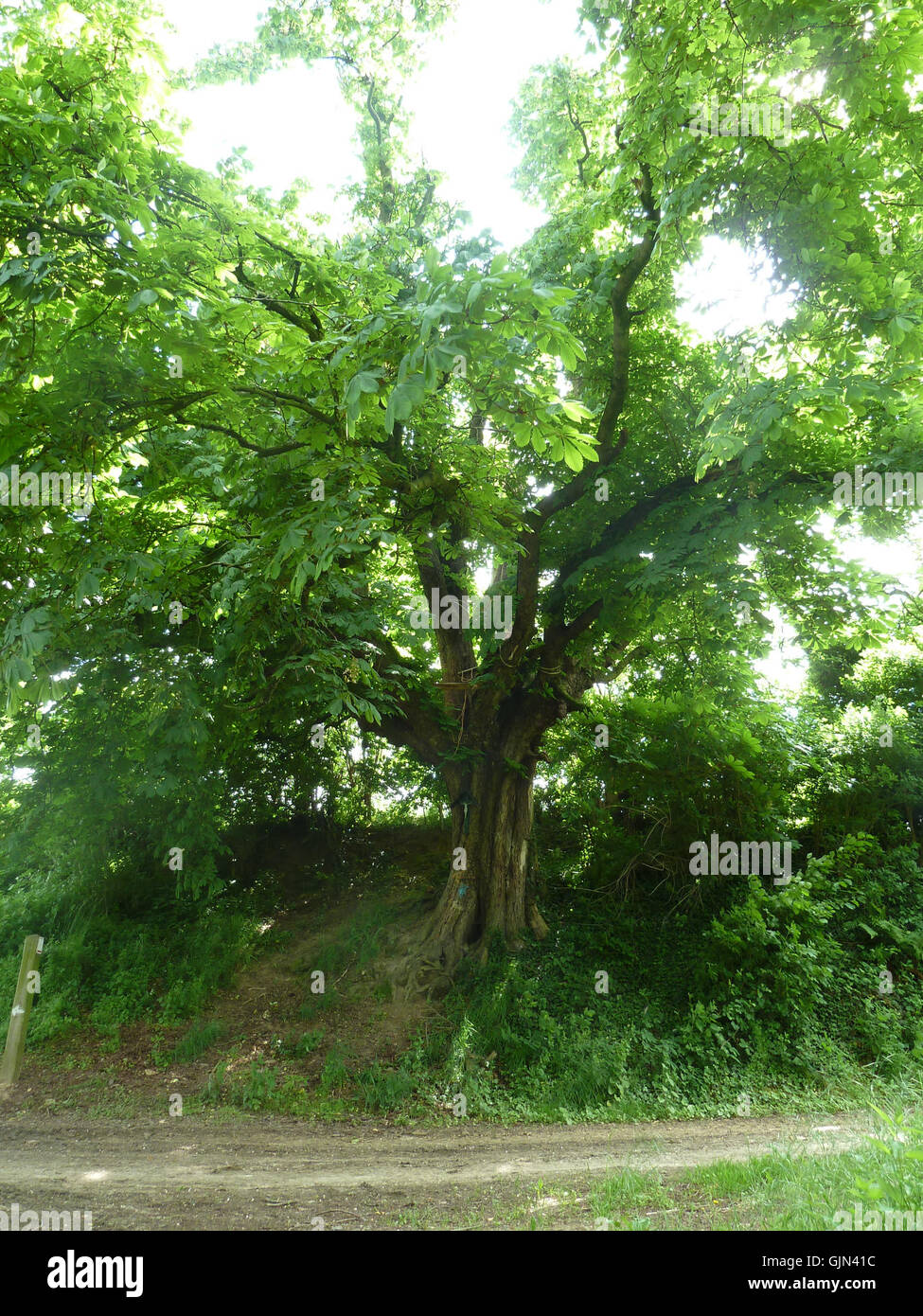 Belgian historical monuments hi-res stock photography and images - Alamy