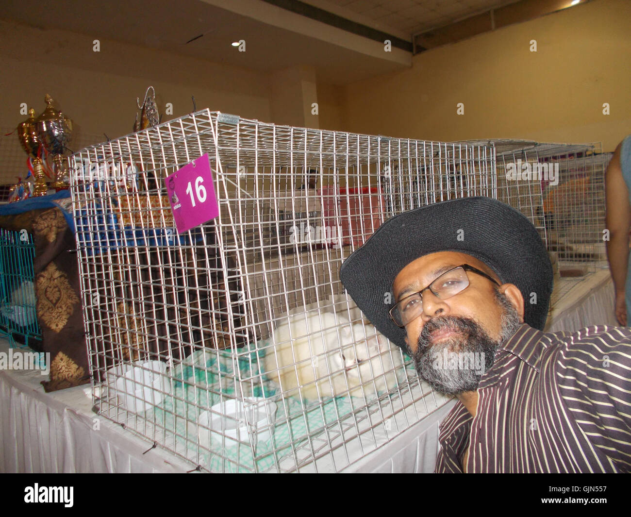 'SELFIE' Owner Rudolph.A.Furtado with cat 'Matahari' Stock Photo - Alamy