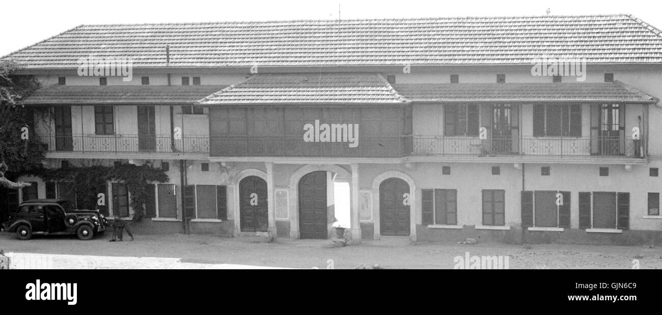 Government stud farm hi-res stock photography and images - Alamy