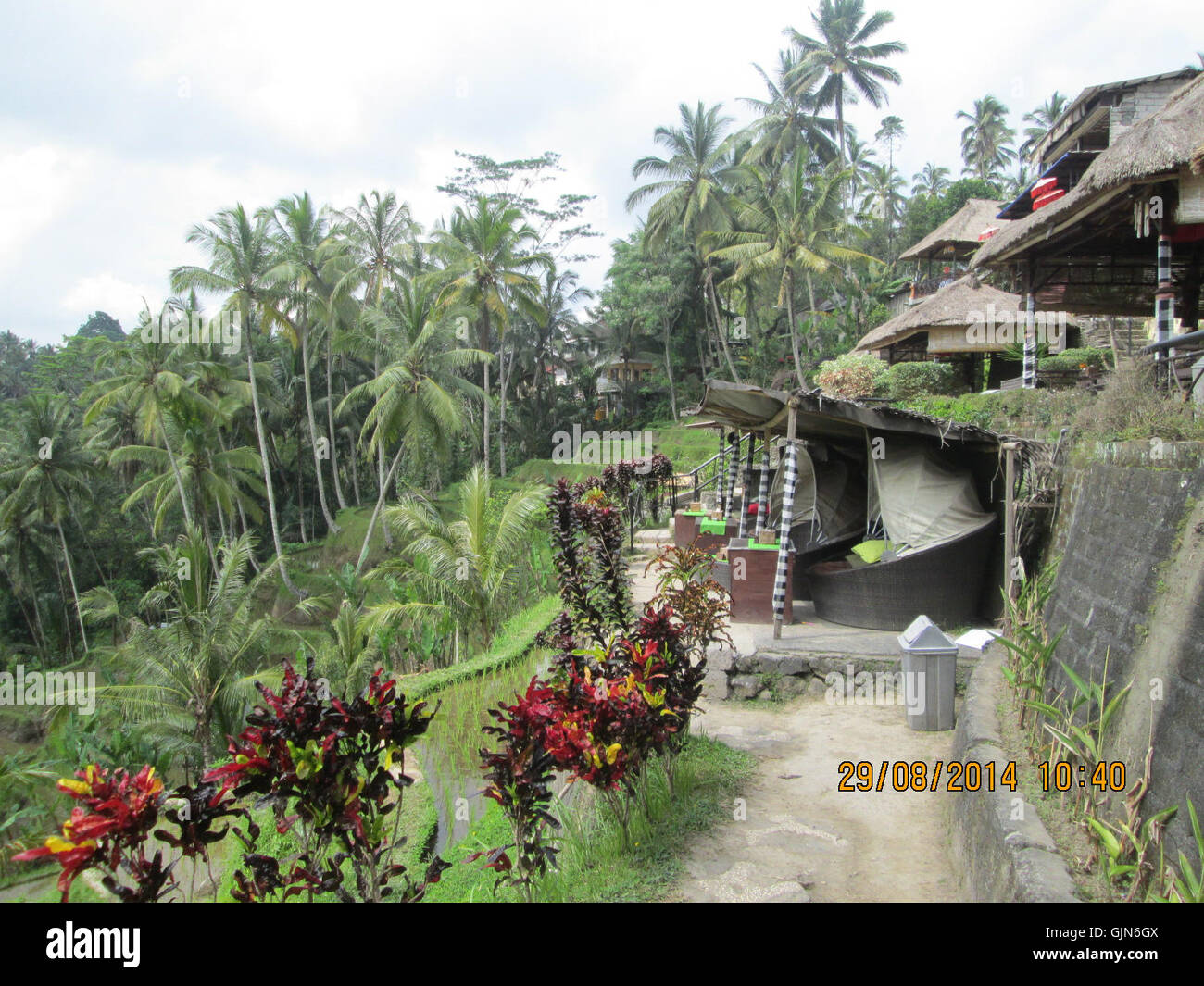 This photograph showcases the intricate beauty of terraced rice fields ...