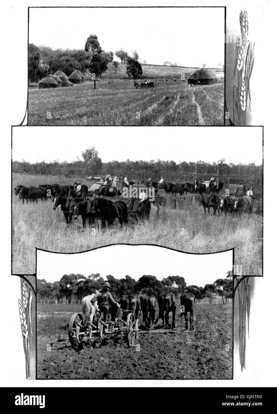 Artifact identification Black and White Stock Photos & Images - Alamy