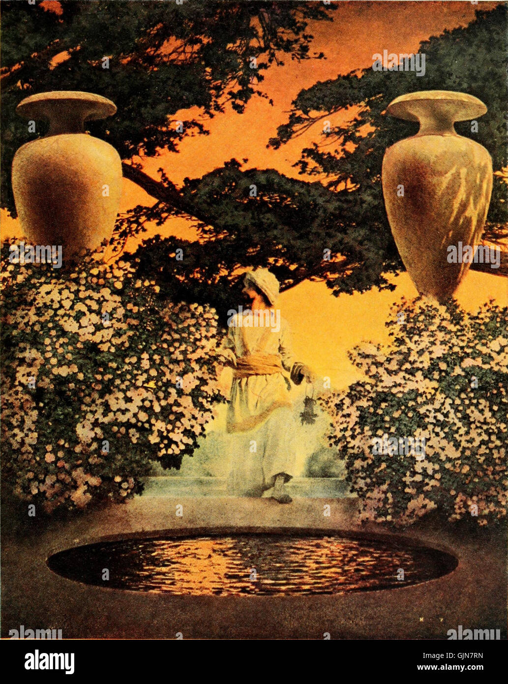 Illustration 107 from an entomological series, focusing on an insect ...