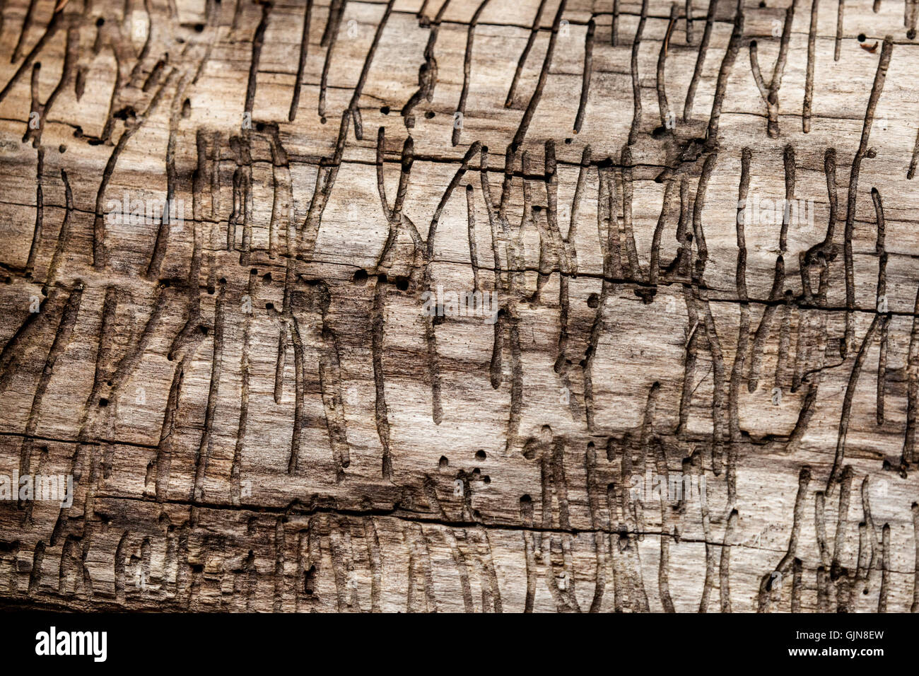 Tally marks hi-res stock photography and images - Alamy