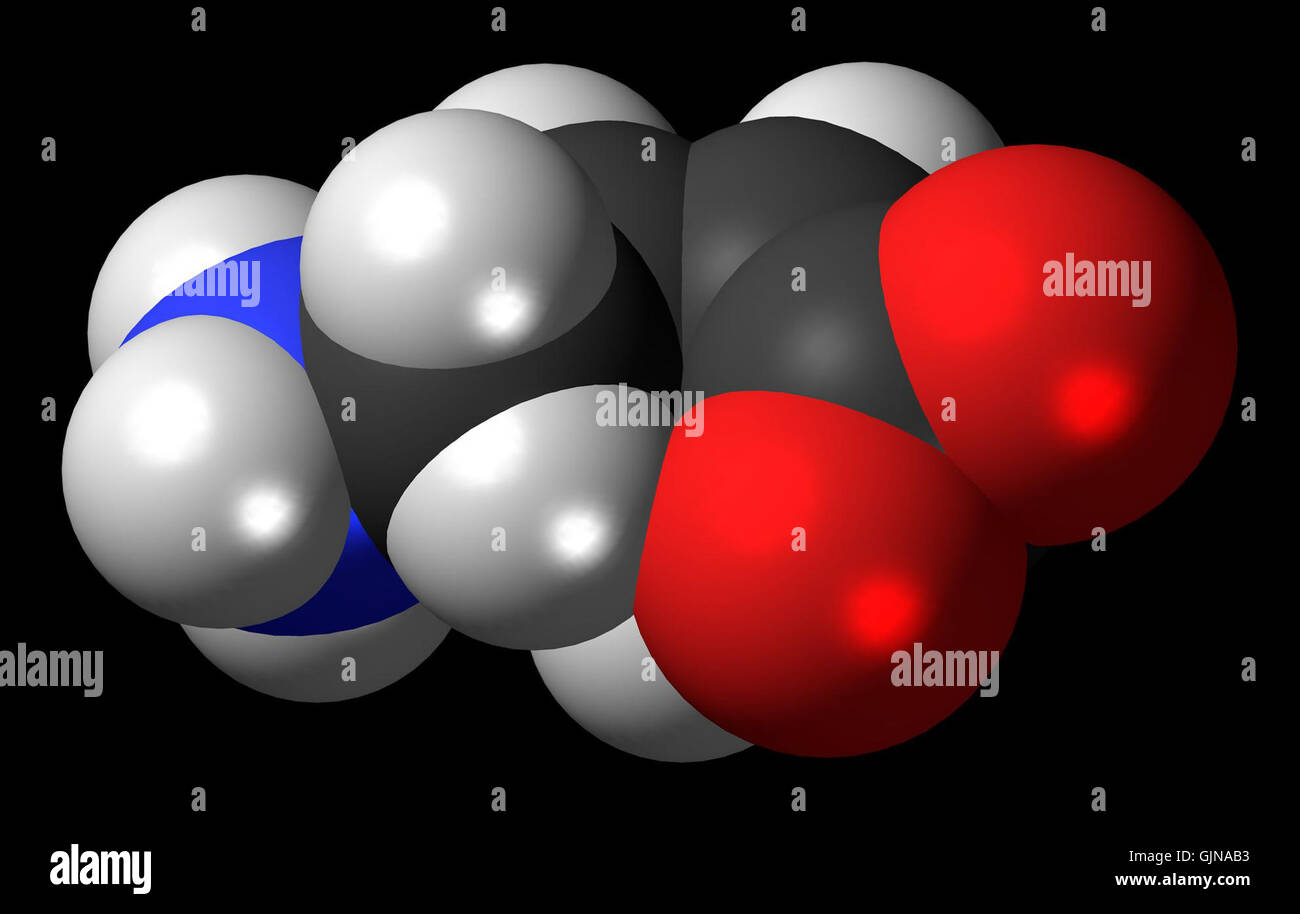 A 3D molecular visualization of a zwitterion, showcasing its unique ...