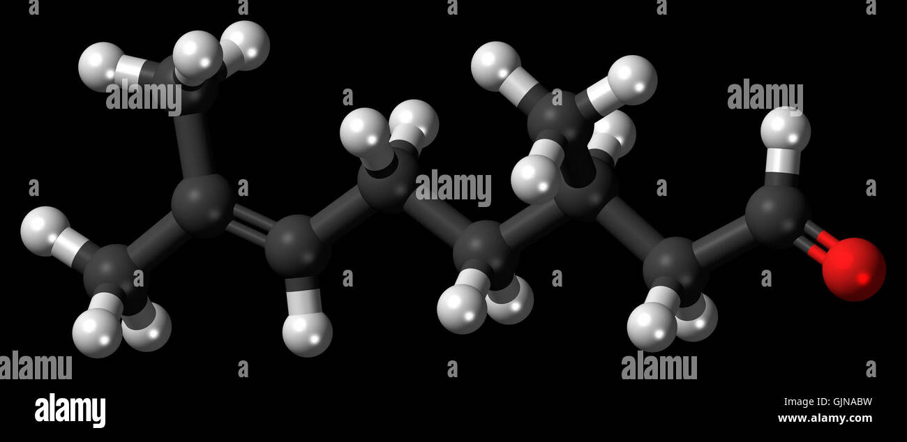 This 3D rendering of Citronellal showcases the molecular structure of ...