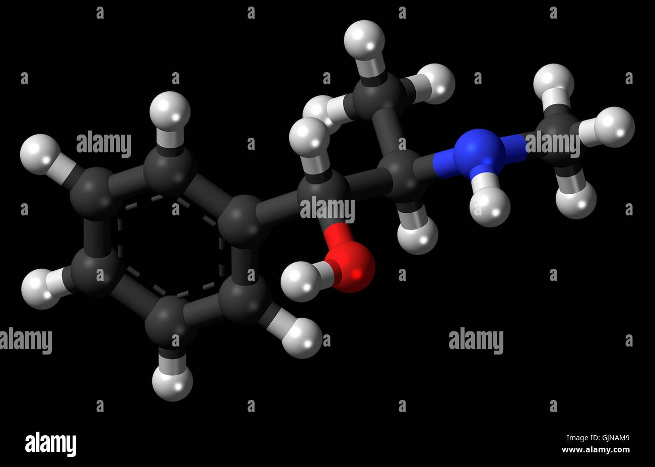 This model represents the molecular structure of Pseudoephedrine, a drug commonly used as a ...