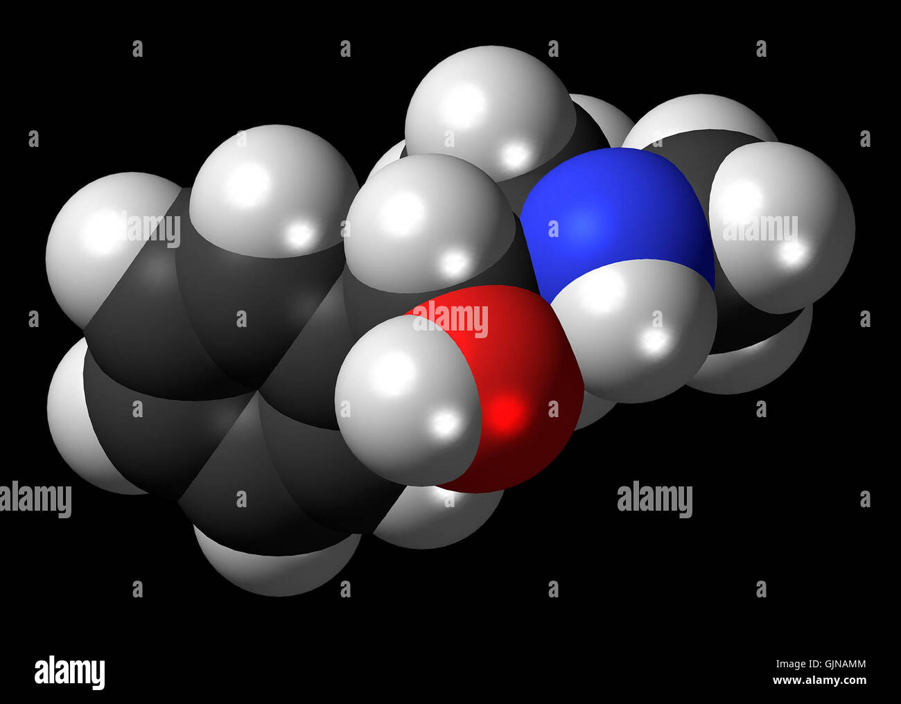 This image shows the space-filling model of the Pseudoephedrine molecule, a common decongestant ...