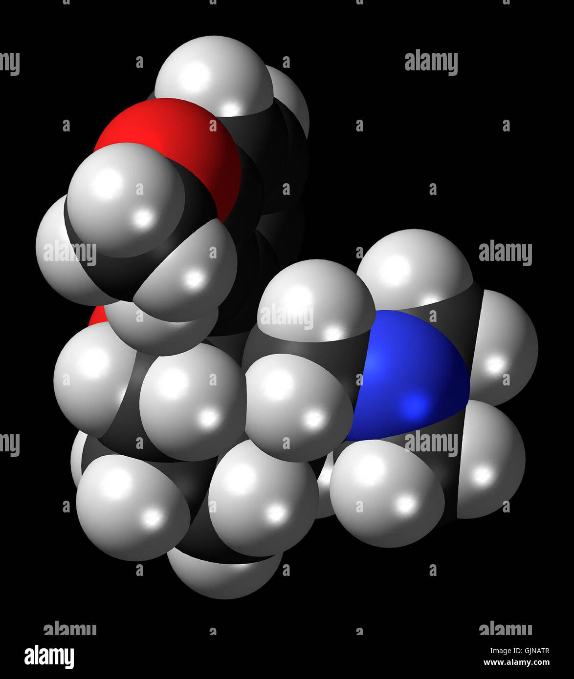 This spacefill model illustrates the molecular structure of Tramadol, a ...