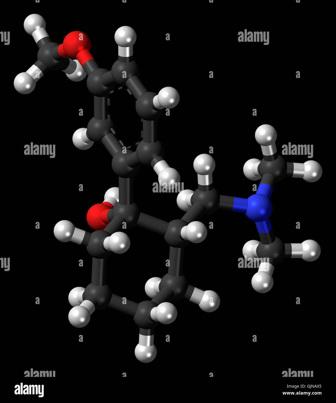 This 3D representation illustrates the molecular structure of Tramadol ...