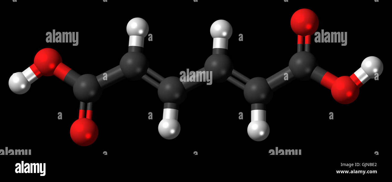 This image presents a 3D representation of Muconic acid molecules ...