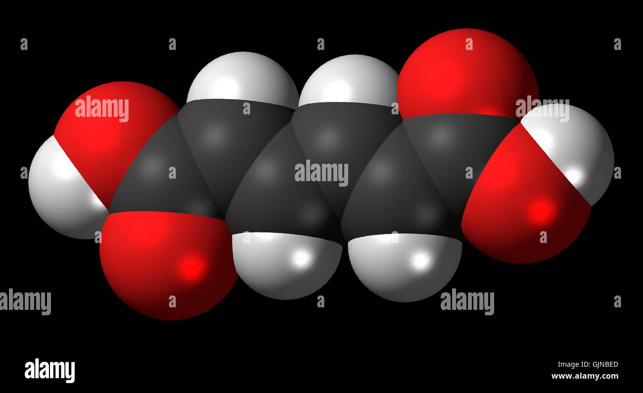 This 3D spacefill model represents the molecular structure of Muconic ...