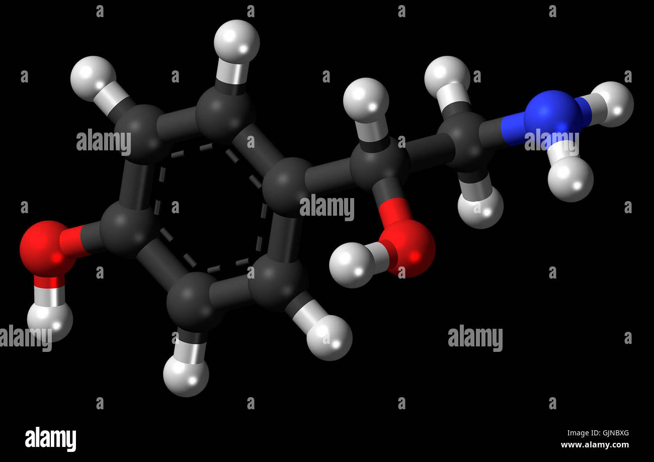 The Octopamine molecule ball represents the molecular structure of ...