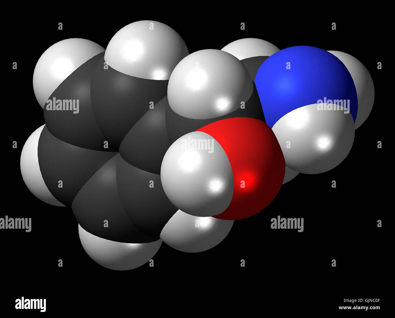The space-filling model of the Phenylethanolamine molecule shows its ...