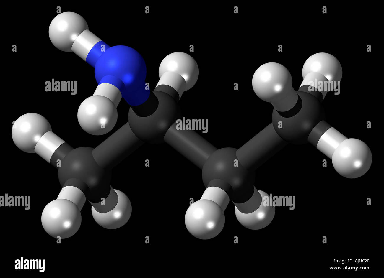 This model illustrates the structure of a butylamine molecule ...