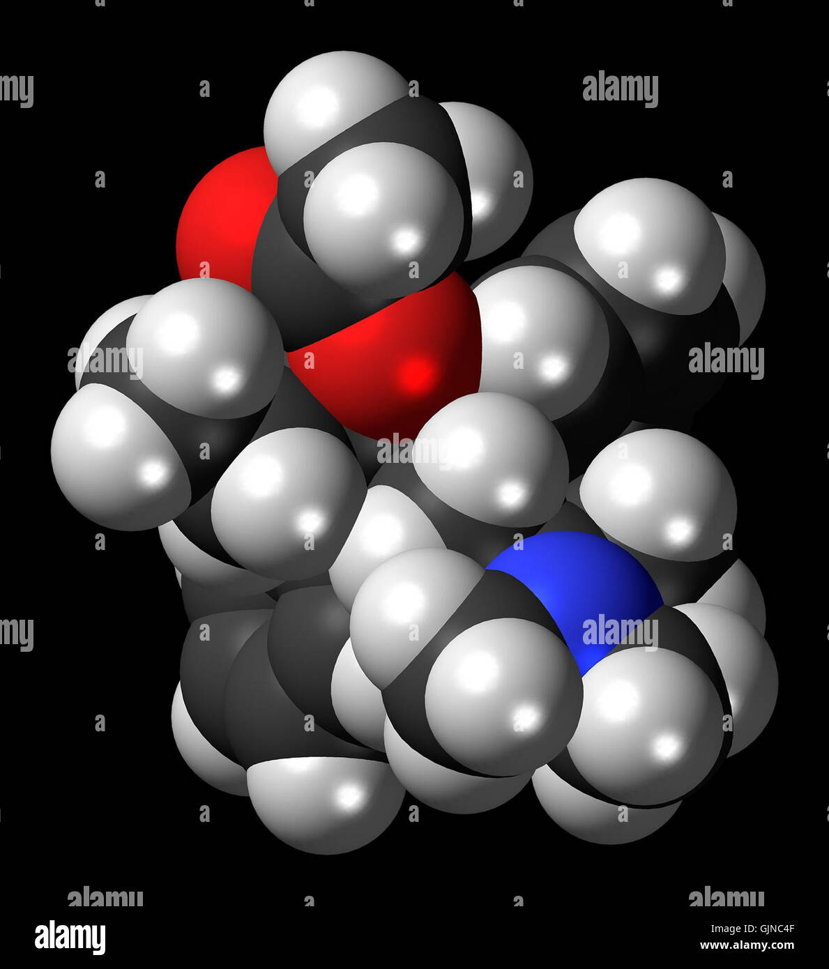 A 3D spacefill representation of the Alphacetylmethadol molecule, a ...